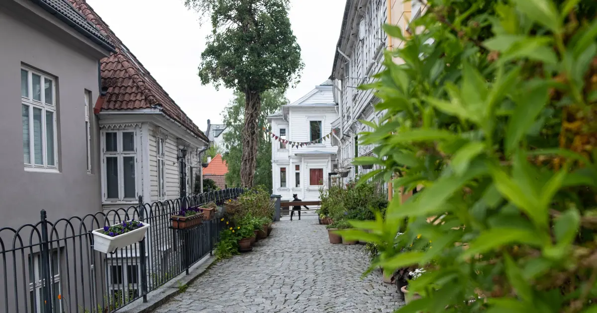 NOR-WAY Bussekspress | Catch the bus to Bergen