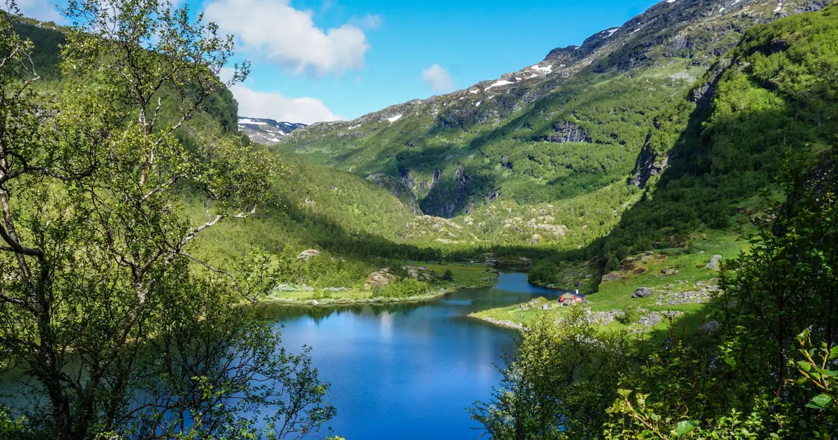 NOR-WAY Bussekspress | Explore Flåm and Aurland by bus