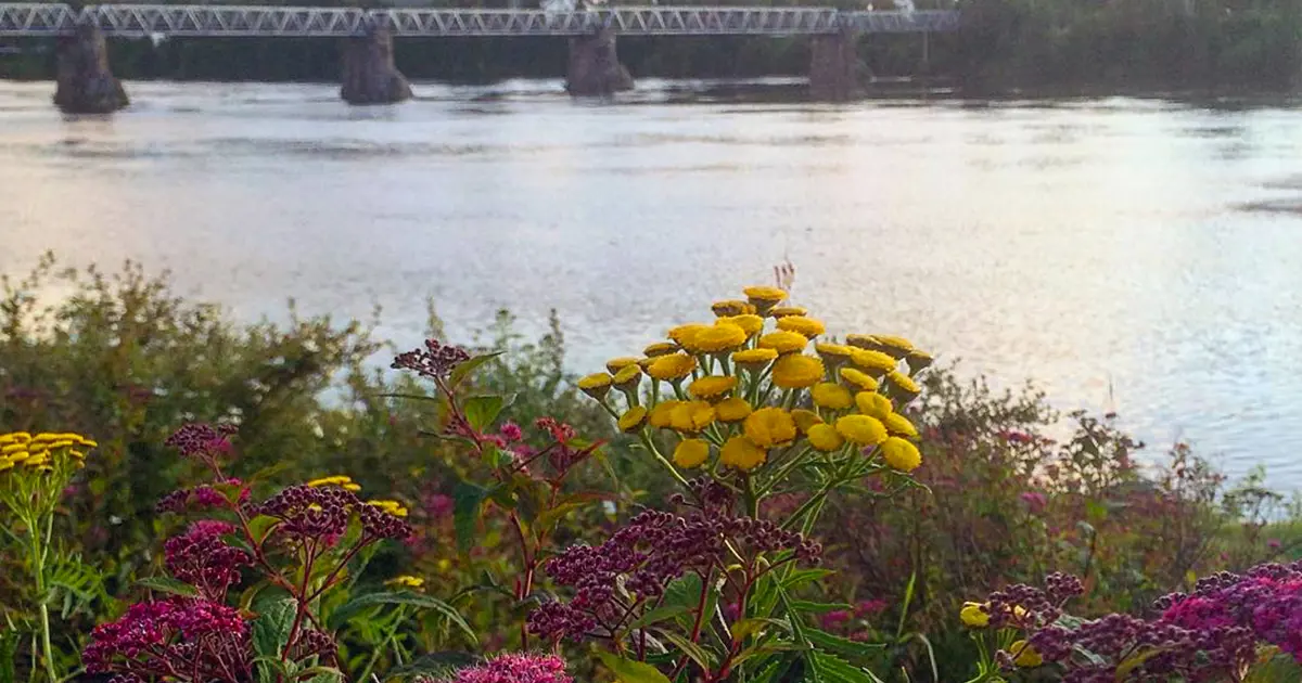 NOR-WAY Bussekspress | Catch the bus to Elverum